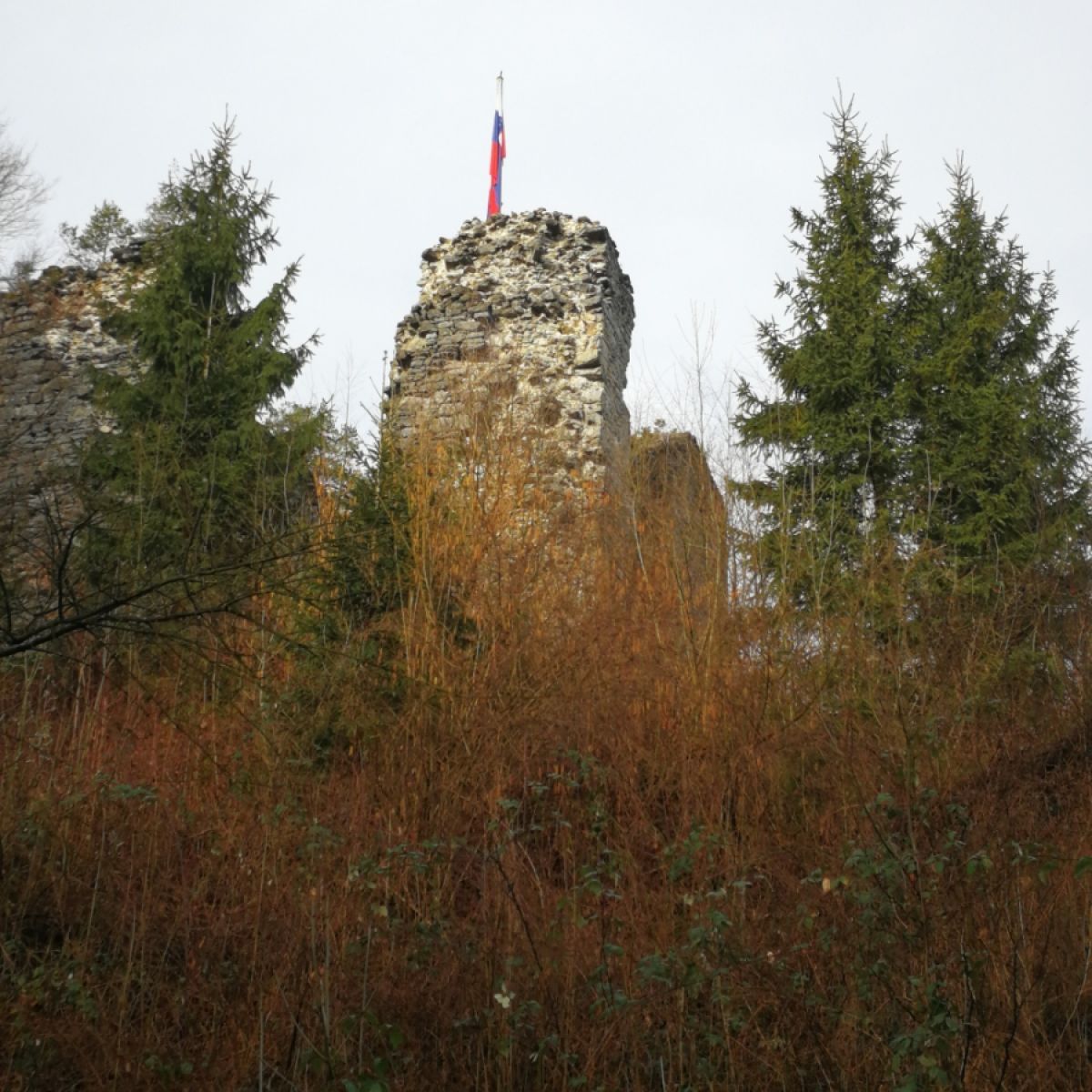 Grad Višnja Gora (Stari grad) (506m) - Planinc